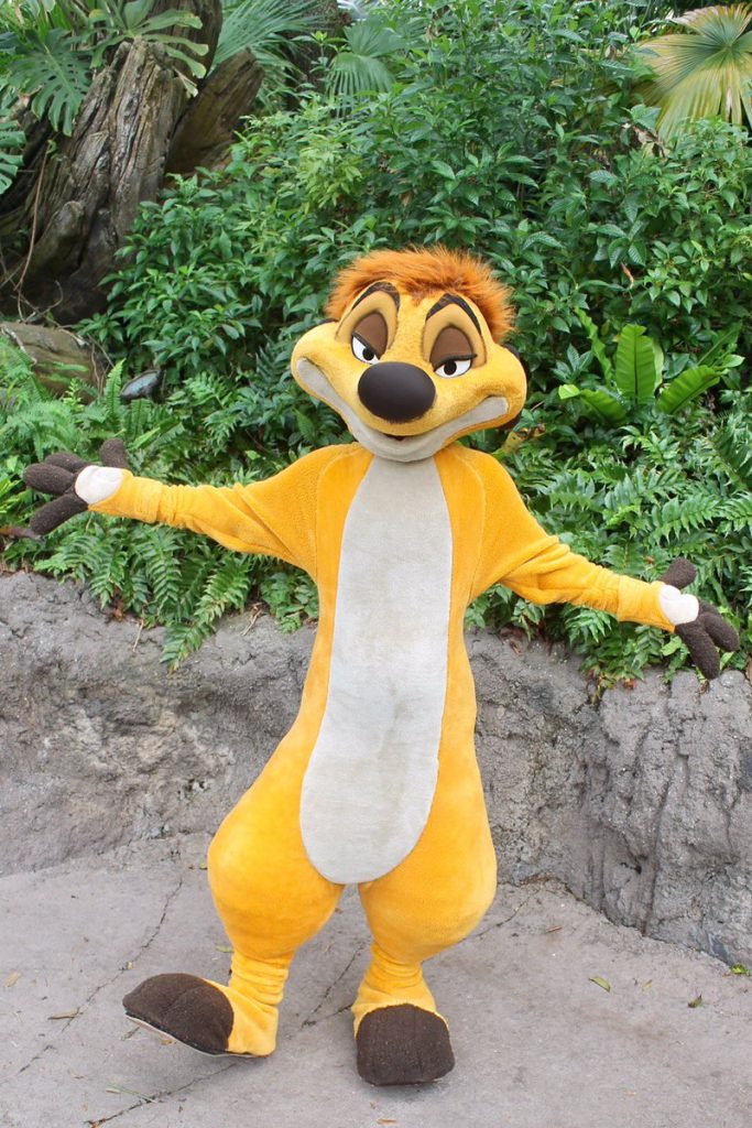 timon – Le monde de Disney