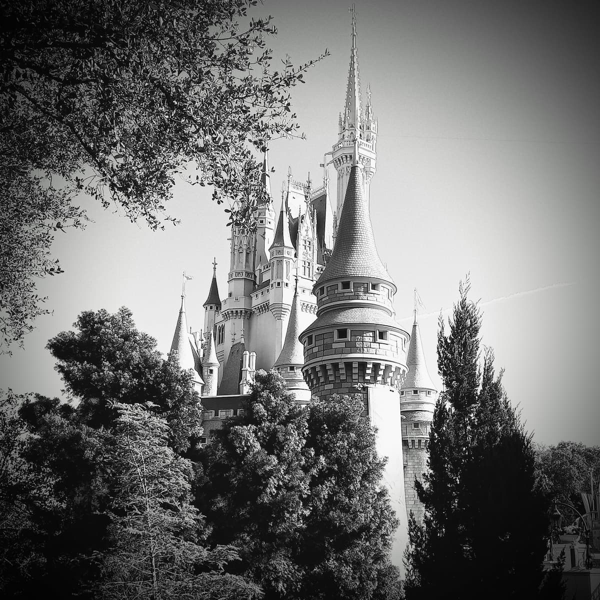 Walt Disney World en images noir et blanc – Le monde de Disney